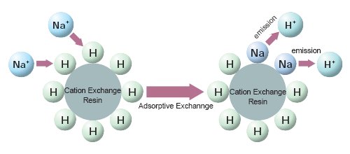 ion exchange resin - meddic